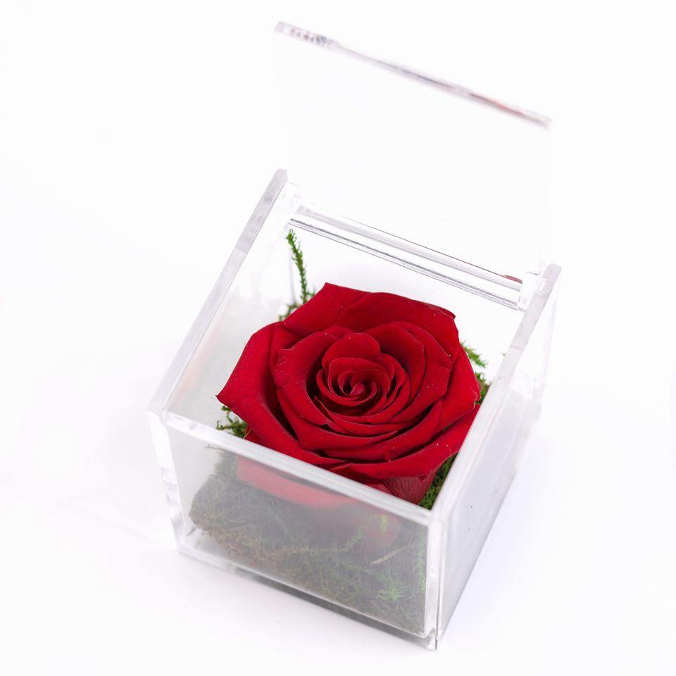 Velvety Forever Red Rose | Single Preserved Rose in Acrylic Box ...