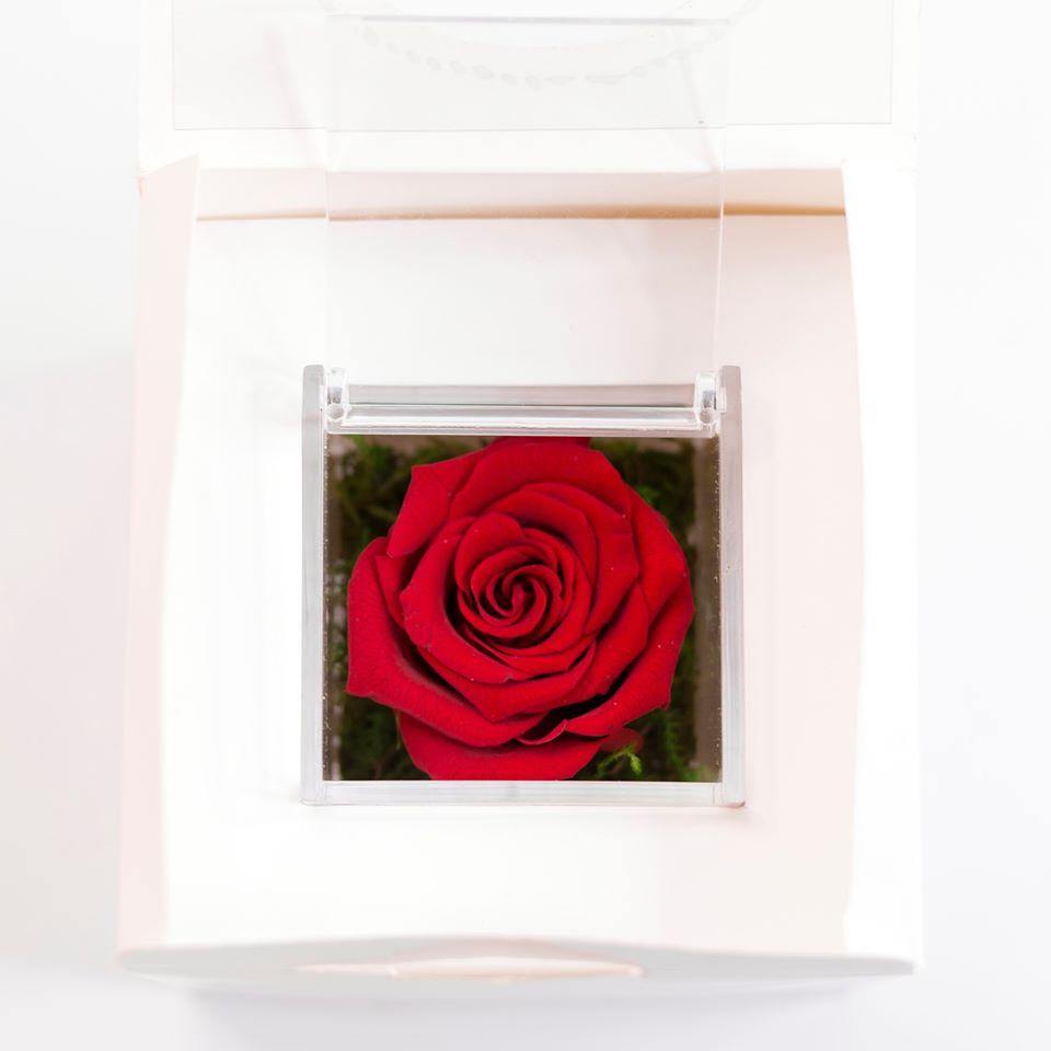 Velvety Forever Red Rose | Single Preserved Rose in Acrylic Box ...
