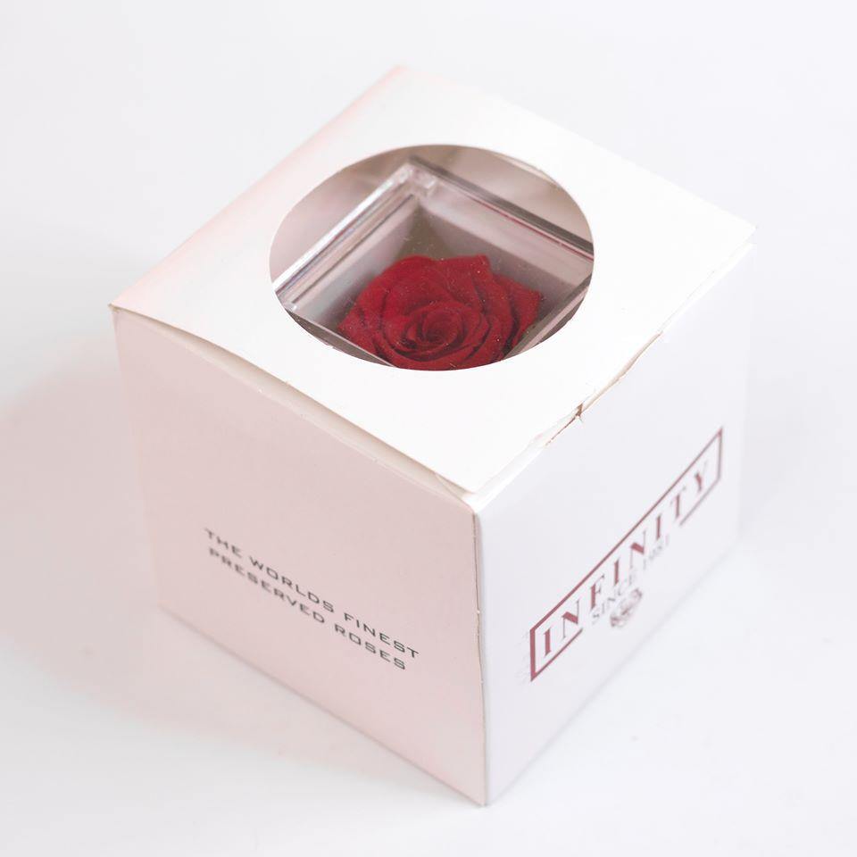 Velvety Forever Red Rose | Single Preserved Rose in Acrylic Box ...